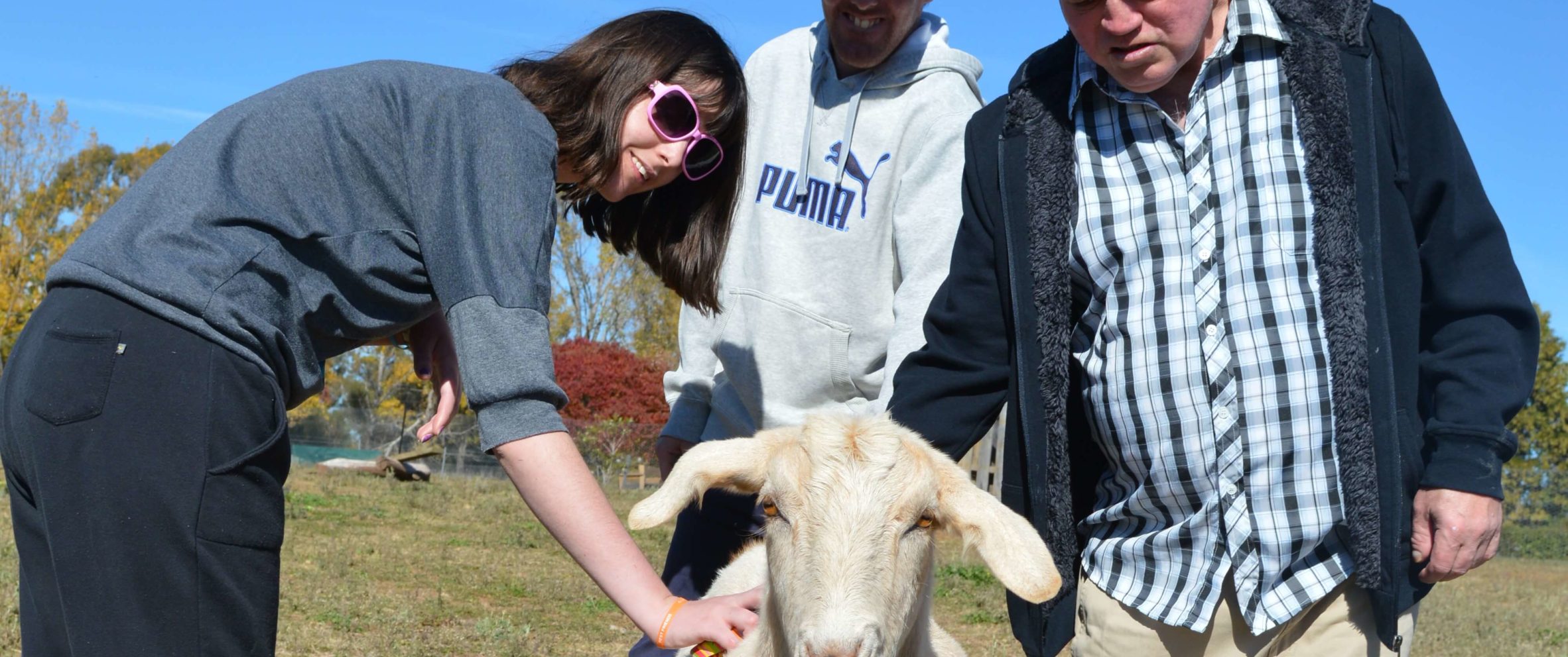 LiveBetter Disability Services participants help train therapy farm ...