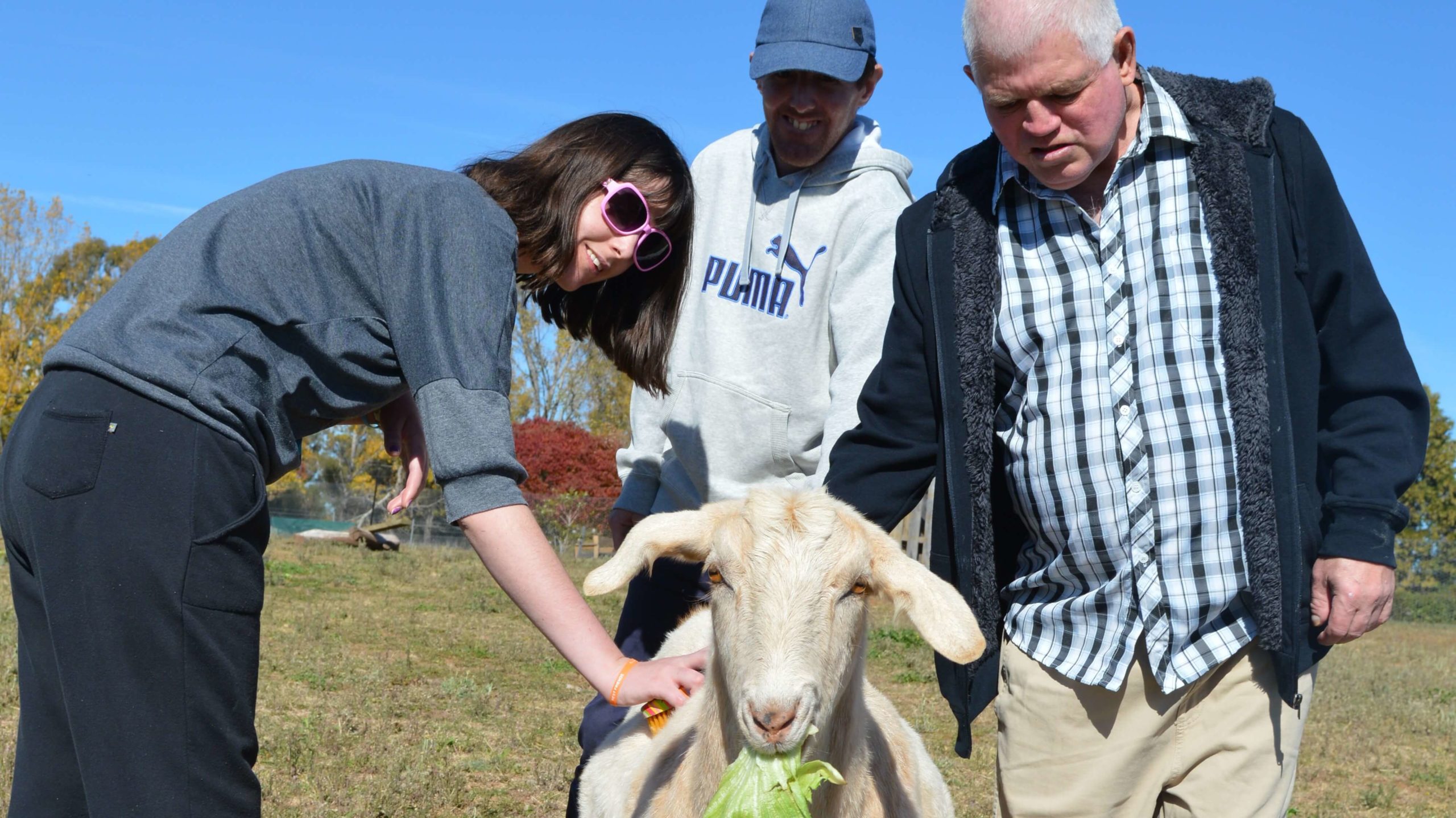 LiveBetter Disability Services participants help train therapy farm ...
