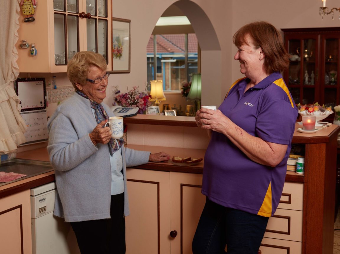 The Assistive Technology and Home Modifications (AT-HM) Scheme ...