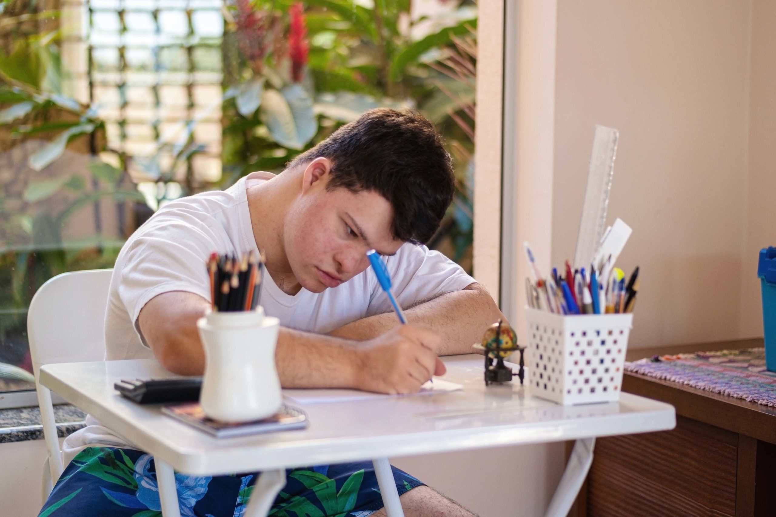 Employment Support - LiveBetter