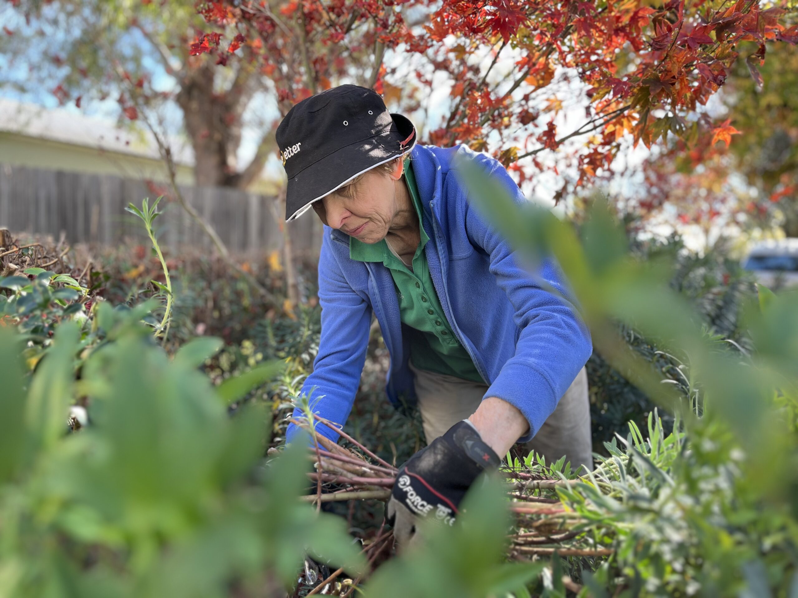 National Volunteer Week 2024: ‘Something for Everyone’ - LiveBetter